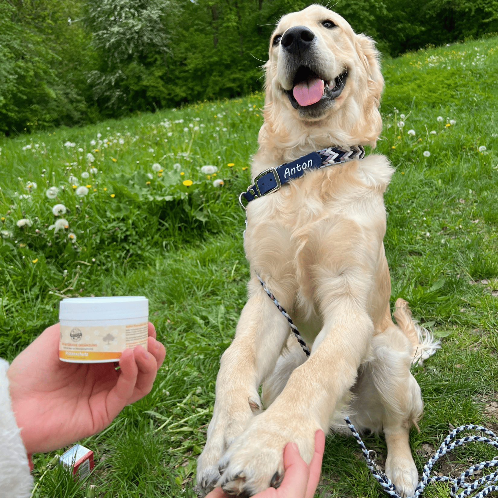Bálsamo protector natural para patas